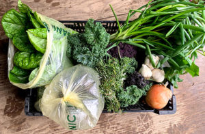 Simon Certified Organic Family Farm